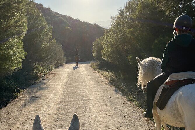Horseback Riding with Certified Guide - Introduction