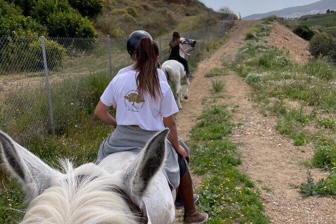 Horseback Riding with Certified Guide - Who Should Consider This Experience?