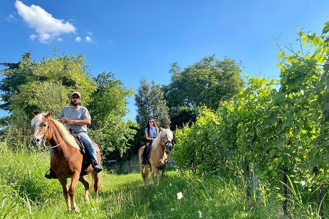 Horseback Riding with Wine and Food Tasting in Lazise Countryside - Horseback Riding with Wine and Food Tasting in Lazise Countryside: An Authentic Italian Escape