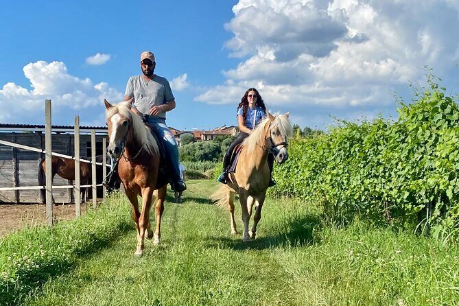 Horseback Riding with Wine and Food Tasting in Lazise Countryside - The Charming Beekeeping Farm and Tasting Experience