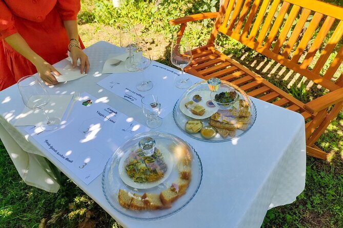 Horseback Riding with Wine and Food Tasting in Lazise Countryside - Authentic Experiences That Truly Deliver Value
