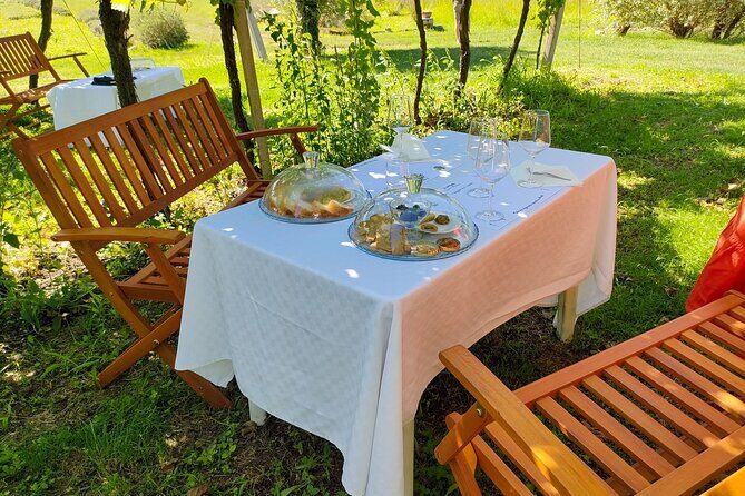 Horseback Riding with Wine and Food Tasting in Lazise Countryside - Who Will Love This Tour?