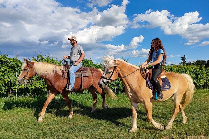 Horseback Riding with Wine and Food Tasting in Lazise Countryside - Frequently Asked Questions