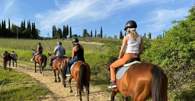 Horseback Riding with Wine Tour from Florence - An In-Depth Look at the Tour