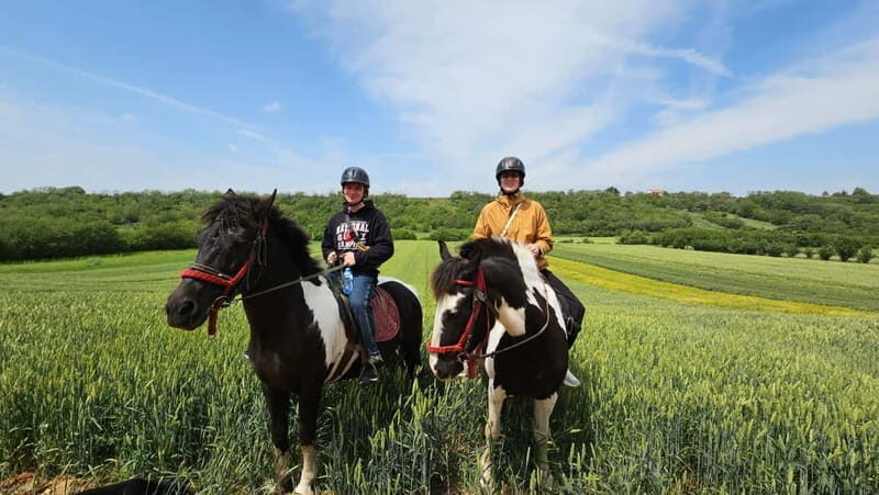 Horseback Trail Riding and Hiking - Day Trip from Belgrade - Analyzing the Value