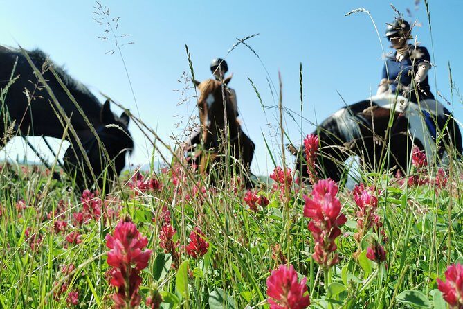 Horsebackriding - explore Tuscan nature - Key Points