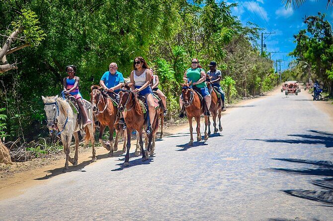 Horseriding in Macao Punta Cana - An Authentic Ride Through Macao’s Countryside and Beach