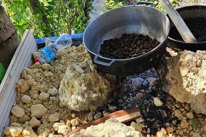 Horses, Buggy, and plantation in Chocaci Ranch - FAQ