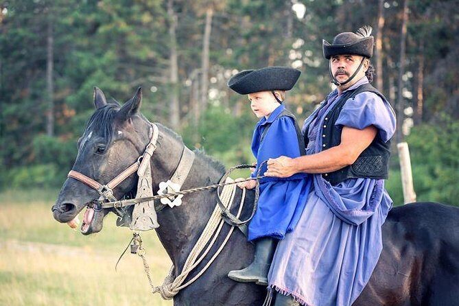 Horseshow on the Hungarian Puszta, private tour from Budapest with entry! - A Complete Look at the Puszta Horse Show Tour from Budapest