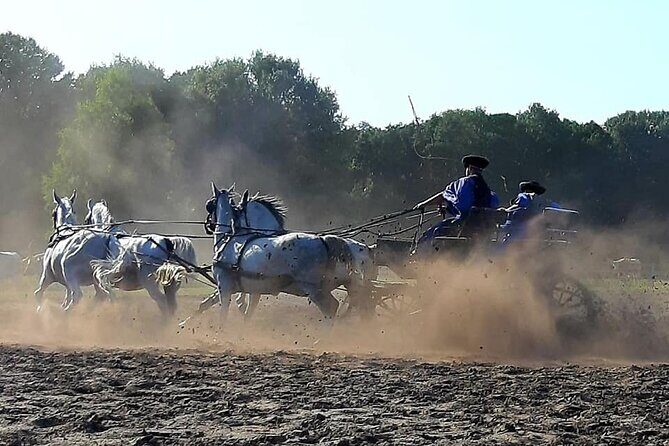 Horseshow on the Hungarian Puszta, private tour from Budapest with entry! - The Sum Up: Who Is This Tour For?
