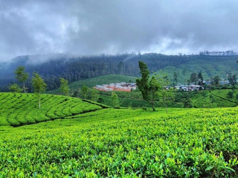 Horton plains: Discover real essence of central highland - A Taste of Local Culture: Visiting the Hindu Temple and Farms