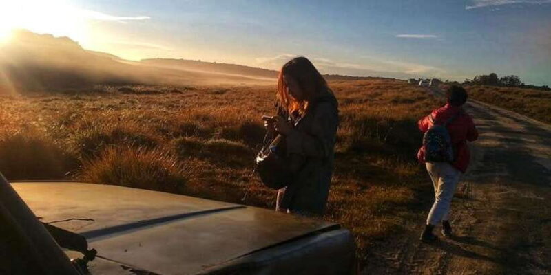 Horton plains: Discover real essence of central highland - Analyzing the Value: Does It Deliver?