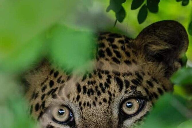 Horton Plains National park - FAQ