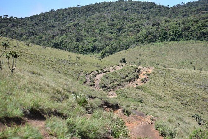 Horton Plains National Park Entrance Ticket with Guide - An Introduction to Horton Plains: What You Need to Know