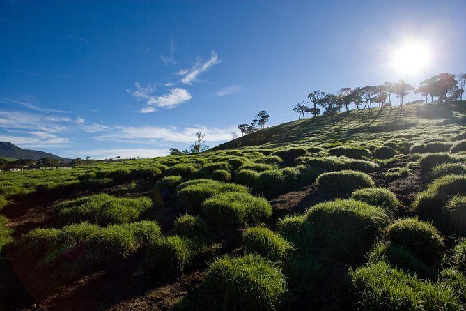 Horton Plains National Park Entrance Ticket with Guide - What to Expect at Horton Plains