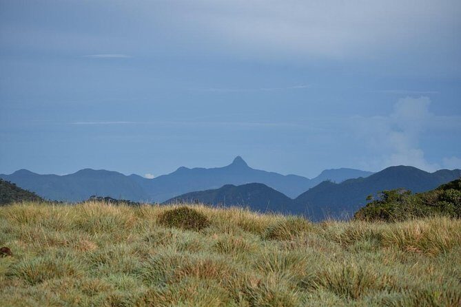 Horton Plains National Park Entrance Ticket with Guide - The Guided Experience: Why It Matters