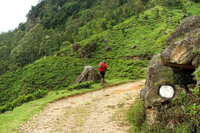 Horton Plains National Park Tour With Scenic Train Ride - An In-Depth Look at the Horton Plains Tour