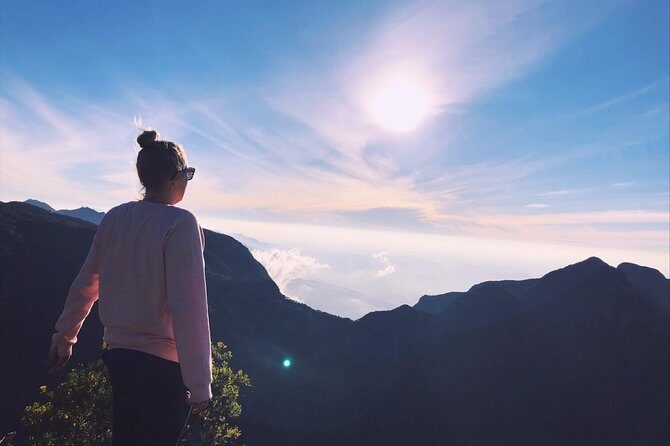 Horton Plains National Park Tour With Scenic Train Ride - Transport, Timing, and Overall Value
