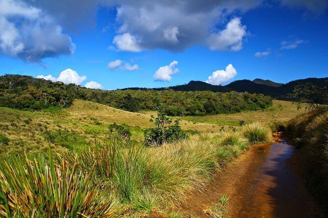 Horton Plains National Park Trekking - The Details of the Trekking Experience