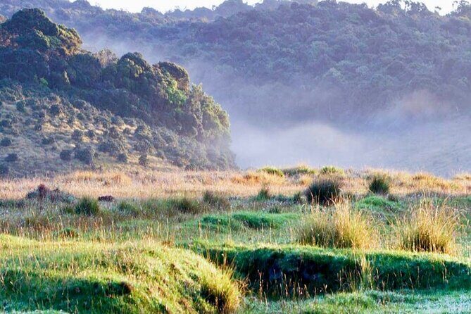 Horton Plains Park & Worlds End Guided Trekking From Nuwara Eliya - Discovering Horton Plains: A Natural Wonder