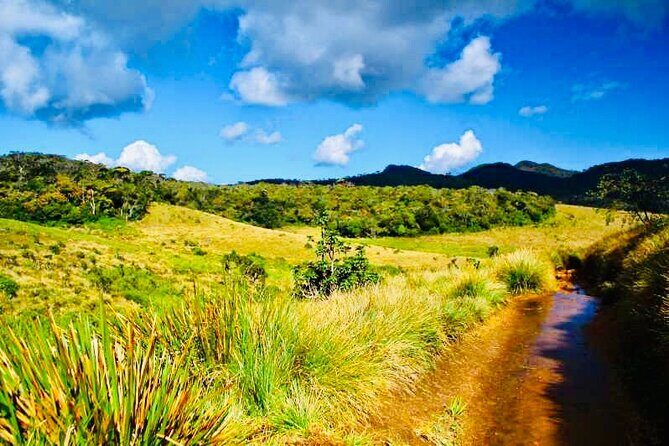 Horton Plains Park & Worlds End Guided Trekking From Nuwara Eliya - A Guided Tour with Flexibility and Comfort