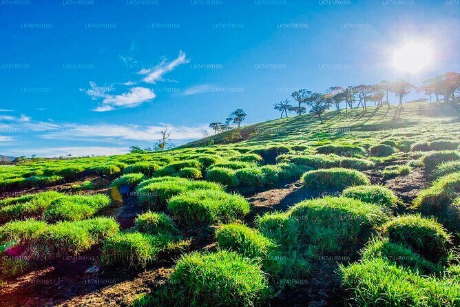 Horton Plains Park & Worlds End Guided Trekking From Nuwara Eliya - Final Thoughts