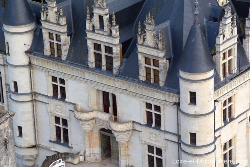 Hot Air Balloon Flight above the Castle of Chenonceau - What Travelers Say