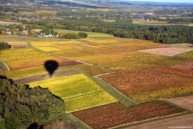 Hot Air Balloon Flight in Loire Valley - What Past Travelers Say