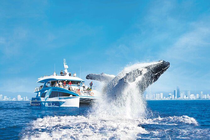 Hot Air Balloon Gold Coast and Seaworld Whale Watching - Authentic Insights and Traveler Tips