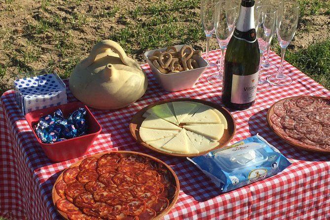 Hot Air Balloon Ride in Segovia with Toast, Picnic and Video - An In-Depth Look at the Hot Air Balloon Tour in Segovia