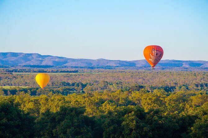 Hot Air Ballooning Tour from Northern Beaches near Cairns - Discover Cairns Skies: A Complete Review of the Hot Air Ballooning Tour from Northern Beaches