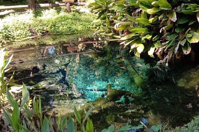 Hot! Doisuthep Temple+Wat Palad+Sticky waterfall - An In-Depth Look at the Tour Experience