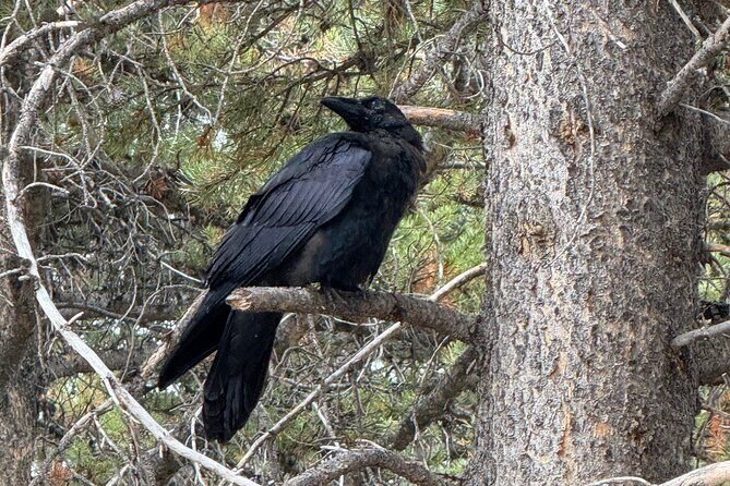 Hot Springs and Geysers Private Tour - What Makes This Tour Stand Out?