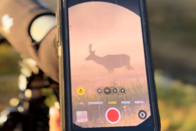 Hot Springs and Geysers Private Tour - The Sum Up: Is It Worth It?