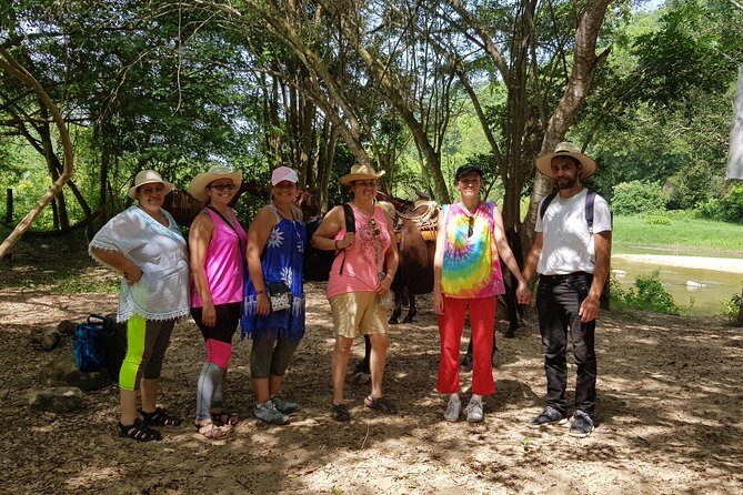 Hot Springs Horseback Riding Adventure - Reaching the Thermal Springs
