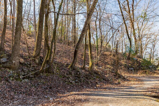 Hot Springs National Park Self Guided Audio Tour - Who This Tour Is Best For