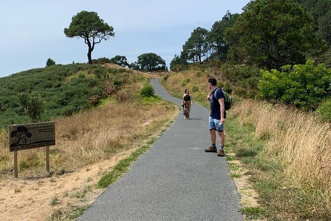 Hot Water Beach & Cathedral Cove Day Tour From Auckland - Authenticity & Traveler Feedback