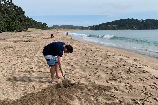 Hot Water Beach & Cathedral Cove Day Tour From Auckland - Who Should Consider This Tour?