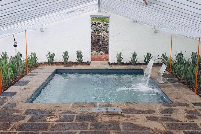 Hot Water Pool Bath Inside Pineapple Plantation & Dinner - A Farm-to-Table Dinner at RÚSTICO