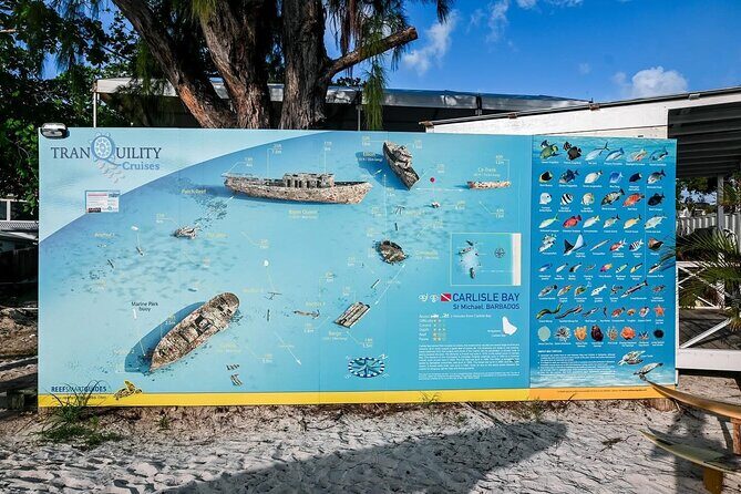 Hotel Beach Day at Savvy with Shuttle Transfer - Authentic Feedback from Travelers