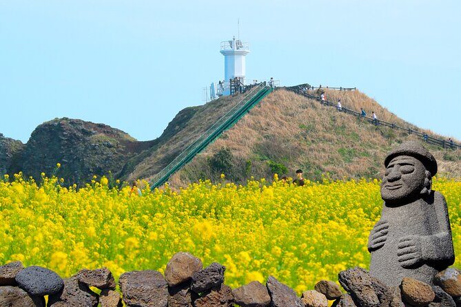 (Hotel PickUp) Jeju EAST Canola Flower Festival Tour with UNESCO - FAQs