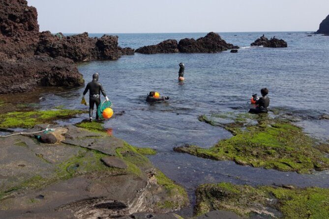 (Hotel PickUp) Jeju EAST Canola Flower Festival Tour with UNESCO - In The Sum Up