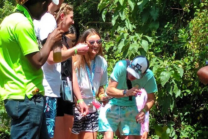 Hotels/AirBnb in Montego Bay Transportation Services and Transfer - The Itinerary: What Happens During Your Ride