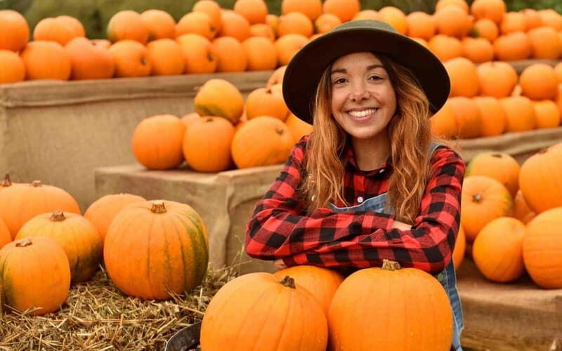 Hounslow: Pumpkin Patch Plus Entry to Hobbledown Heath - An Honest Look at What to Expect