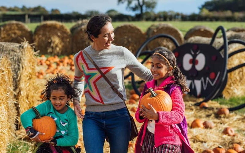 Hounslow: Pumpkin Patch Plus Entry to Hobbledown Heath - A Day in the Life at Hobbledown Heath