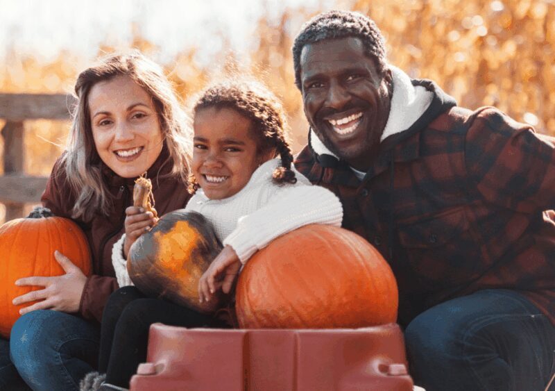 Hounslow: Pumpkin Patch Plus Entry to Hobbledown Heath - How the Price Reflects the Experience