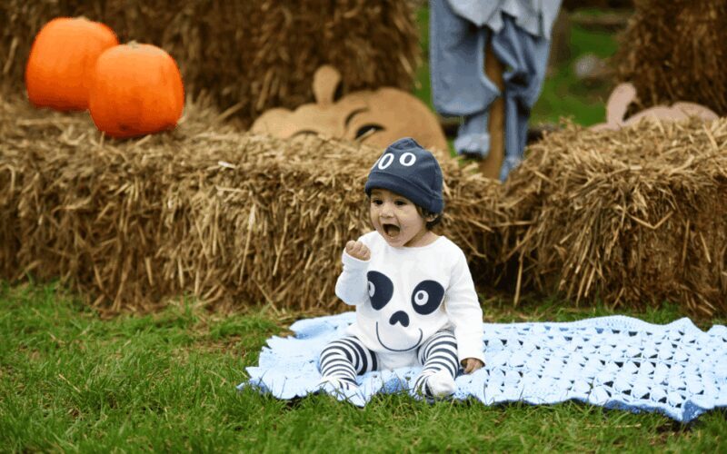 Hounslow: Pumpkin Patch Plus Entry to Hobbledown Heath - Authentic Experiences from Visitors