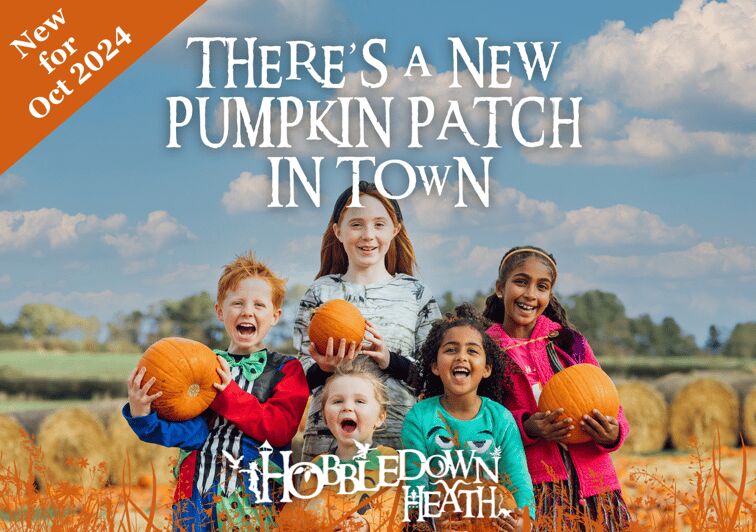Hounslow: Pumpkin Patch Plus Entry to Hobbledown Heath - Practical Tips for Your Visit