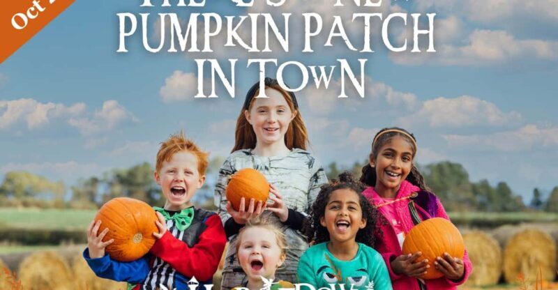 Hounslow: Pumpkin Patch Plus Entry to Hobbledown Heath - The Sum Up: Is This Experience Right for You?