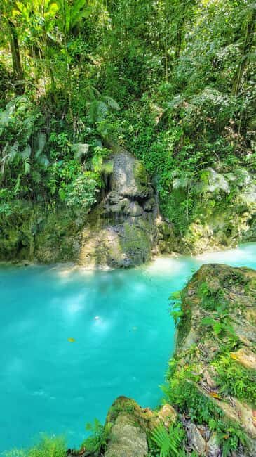 Hour Rio Partido's Secret River Trail with Lunch - Who Will Love This Tour?